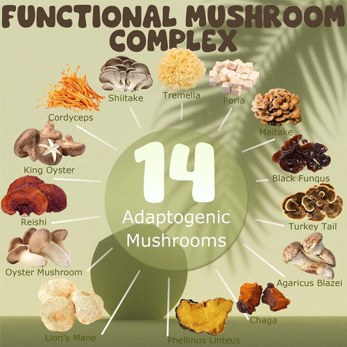 turkey tail mushroom health benefits