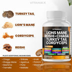 Turkey Tail mushroom health benefits