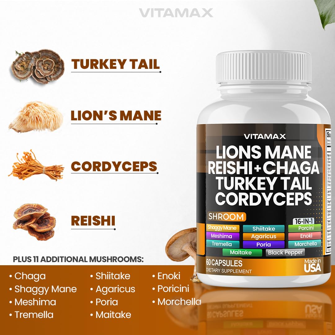 Turkey Tail mushroom health benefits