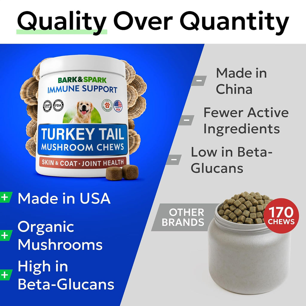 Turkey Tail mushroom health benefits
