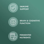 turkey tail mushroom health benefits