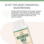 Turkey tail mushroom health benefits