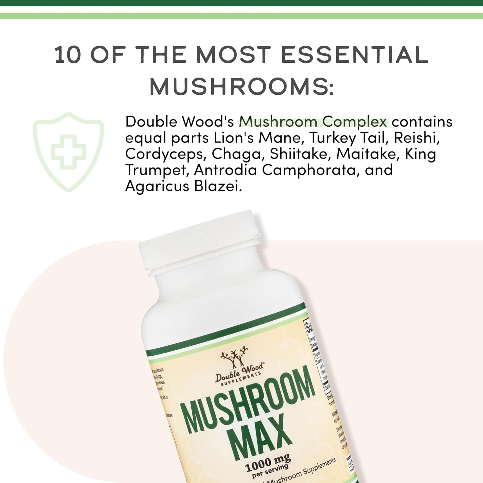 Turkey tail mushroom health benefits
