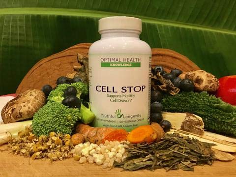 turkey tail mushroom health benefits