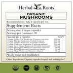 turkey tail mushroom health benefits