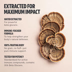 Turkey Tail mushroom health benefits