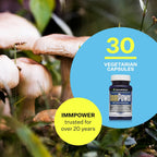 turkey tail mushroom health benefits