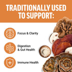 turkey tail mushroom health benefits