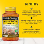 turkey tail mushroom health benefits