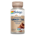 turkey tail mushroom health benefits