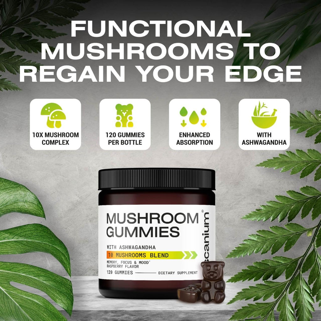 Turkey Tail mushroom health benefits