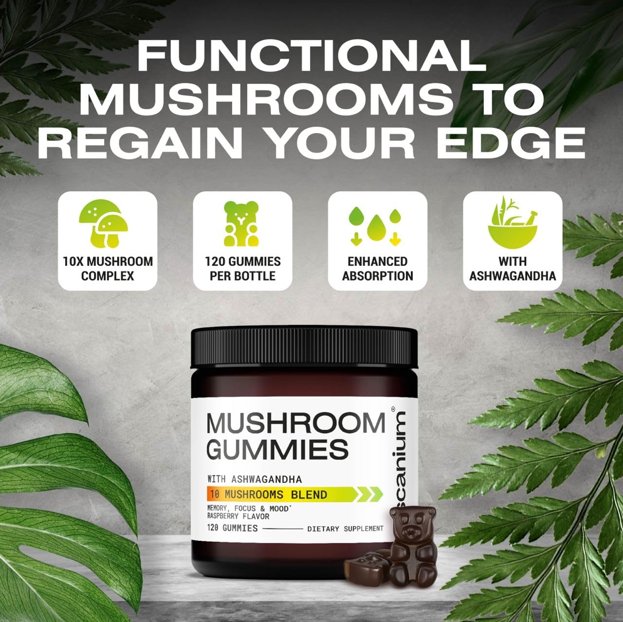 Turkey Tail mushroom health benefits