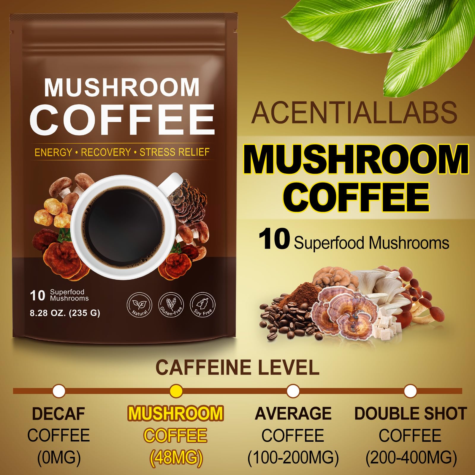 turkey tail mushroom health benefits