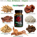 Turkey tail mushroom health benefits