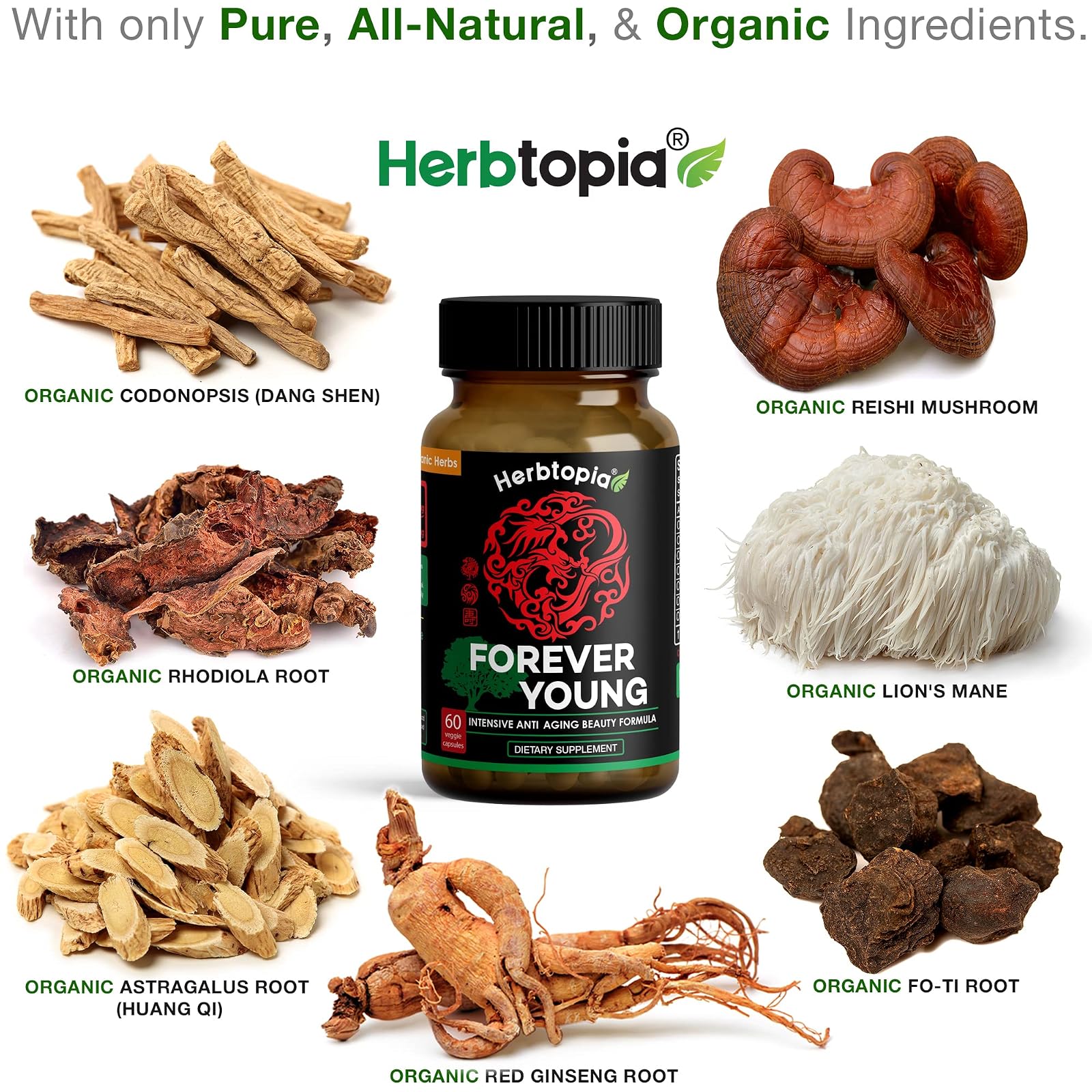 Turkey tail mushroom health benefits