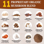 turkey tail mushroom health boost