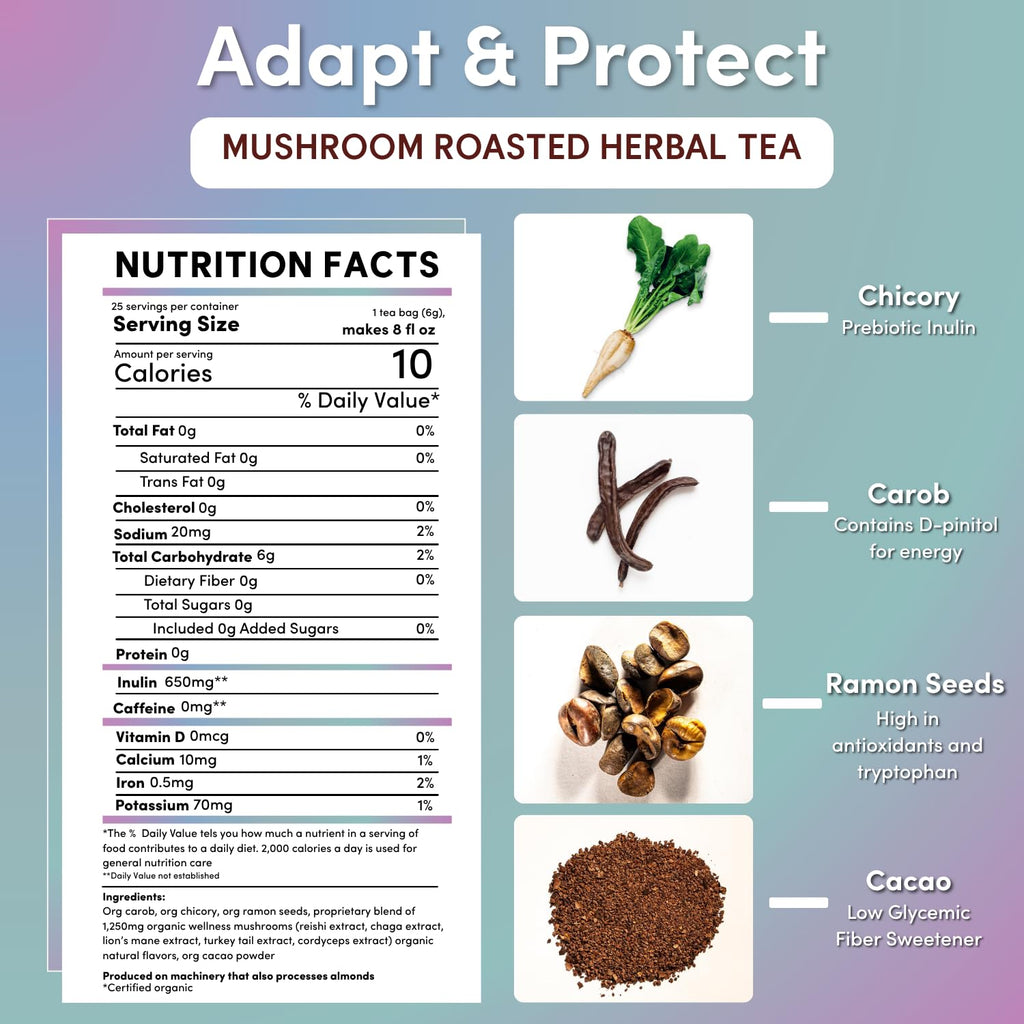 turkey tail mushroom health boost