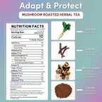 turkey tail mushroom health boost