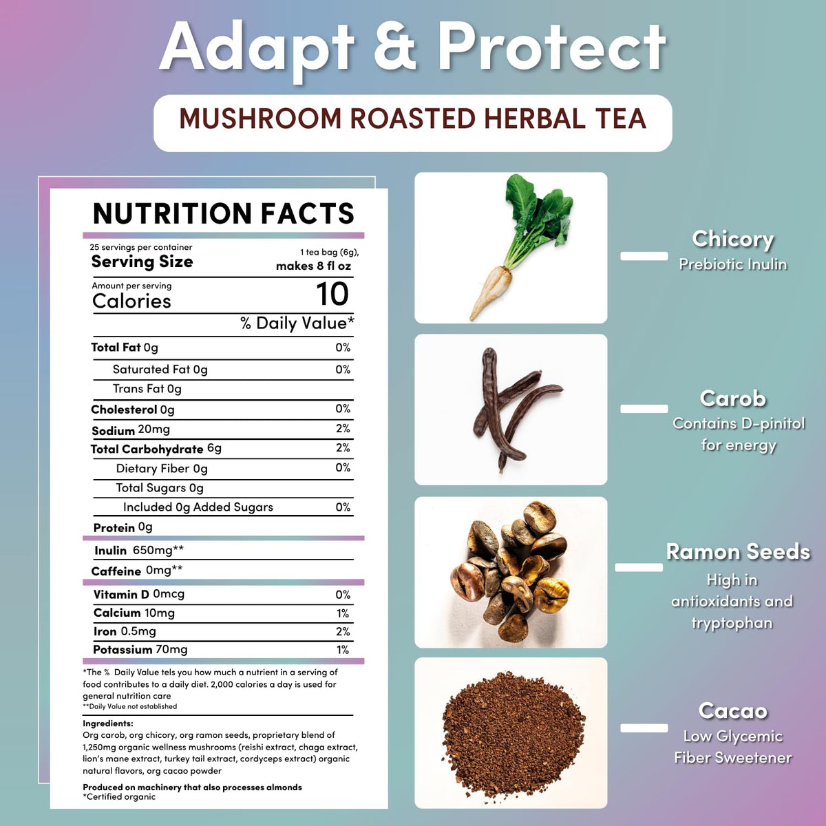 turkey tail mushroom health boost