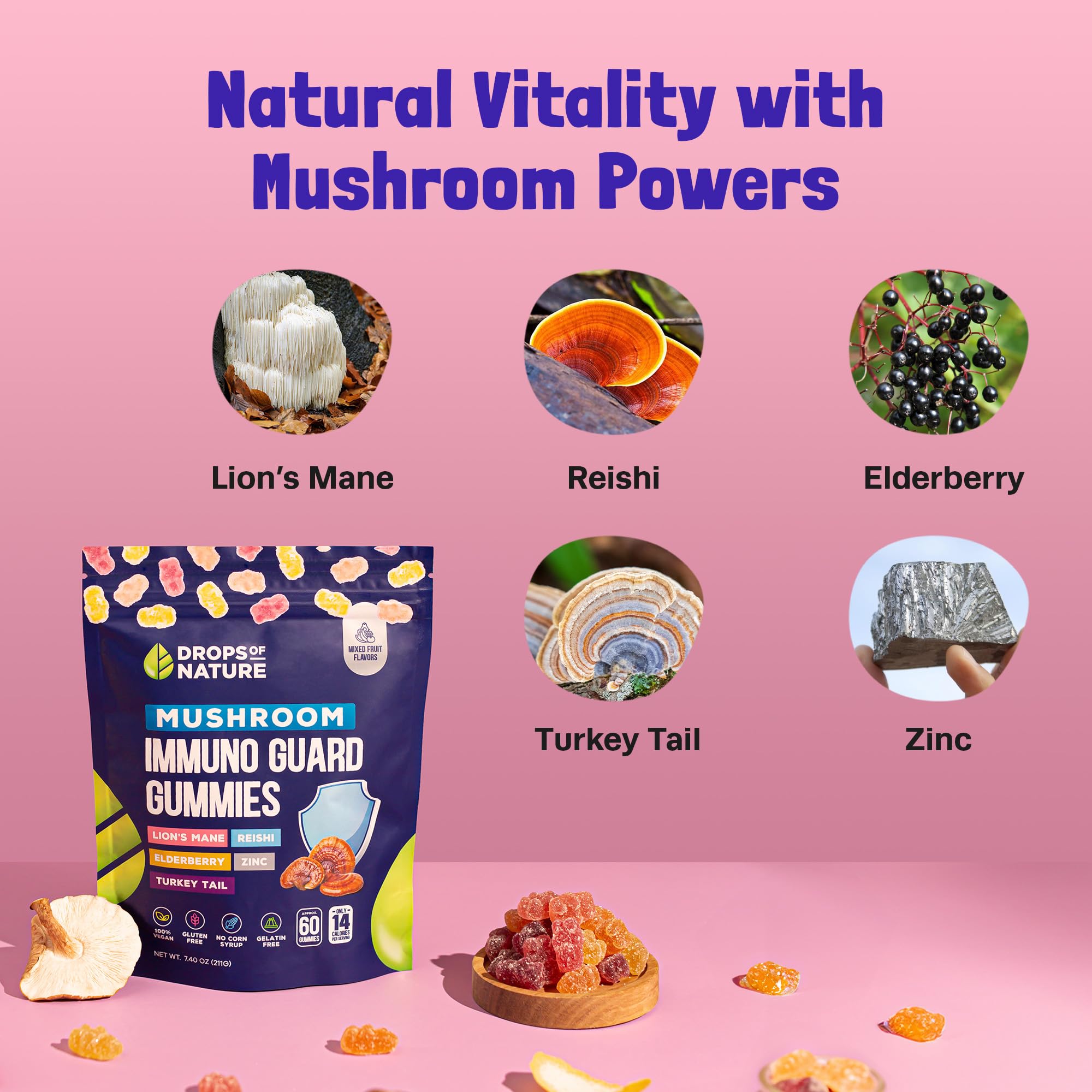Turkey Tail mushroom health support