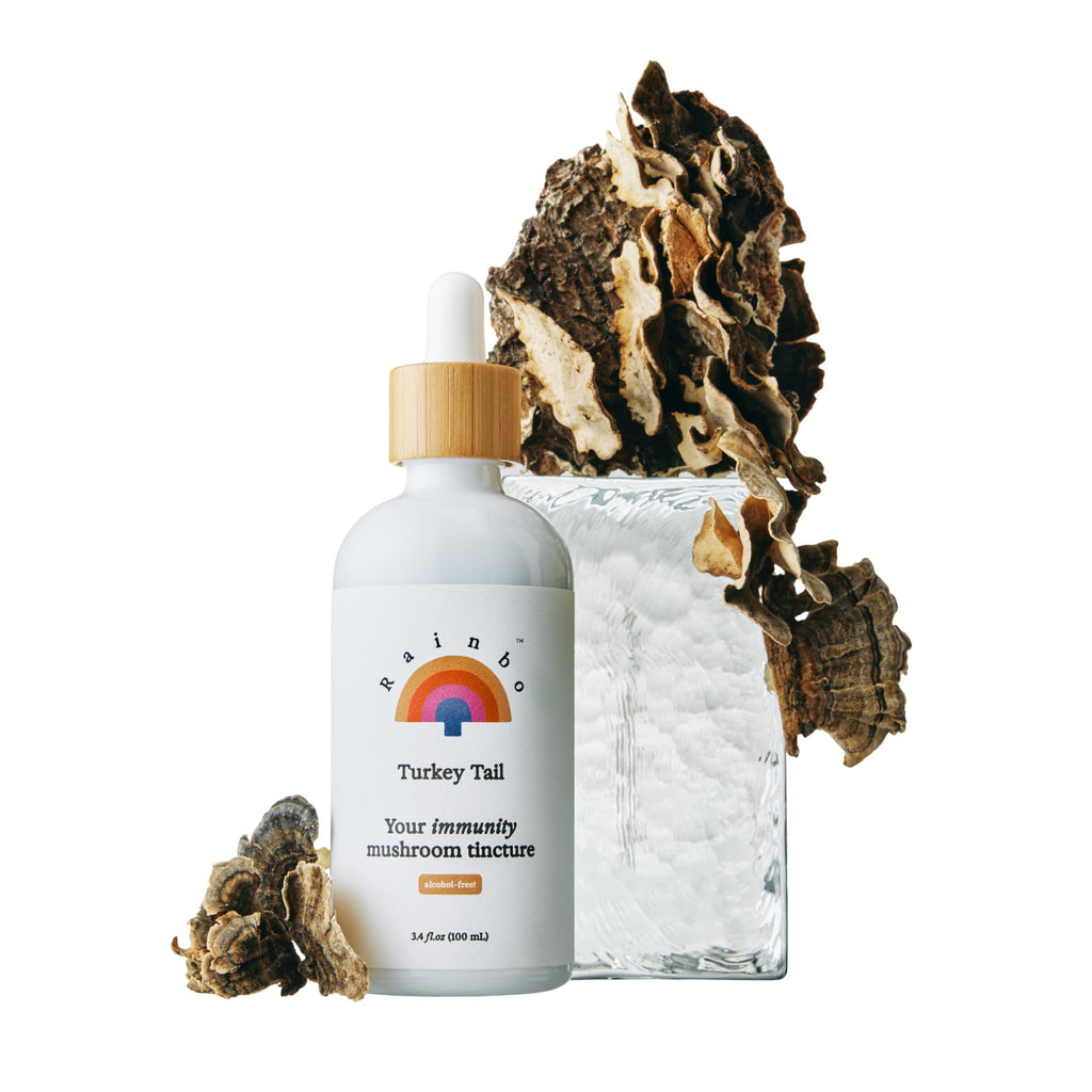 Turkey Tail mushroom immune support