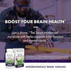 Turkey tail mushroom immune support