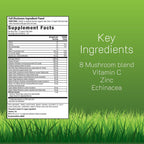 turkey tail mushroom immune support