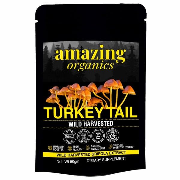 Turkey Tail mushroom immune support