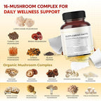 turkey tail mushroom immune support
