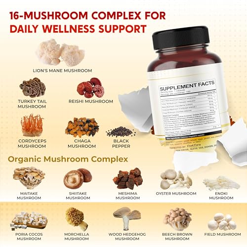 turkey tail mushroom immune support
