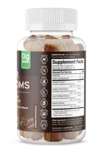 Turkey Tail mushroom immune support