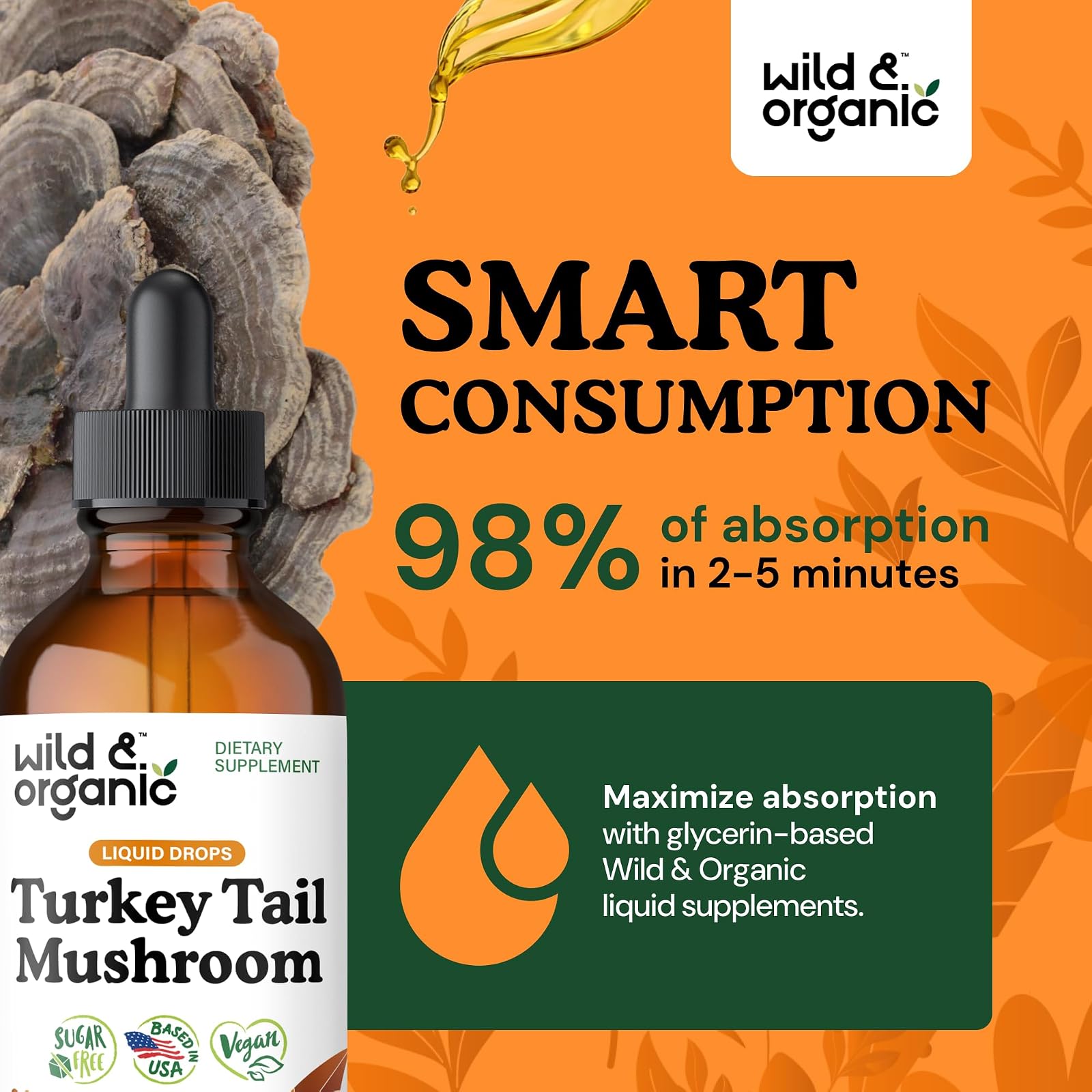 turkey tail mushroom immune support