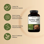 turkey tail mushroom immune support