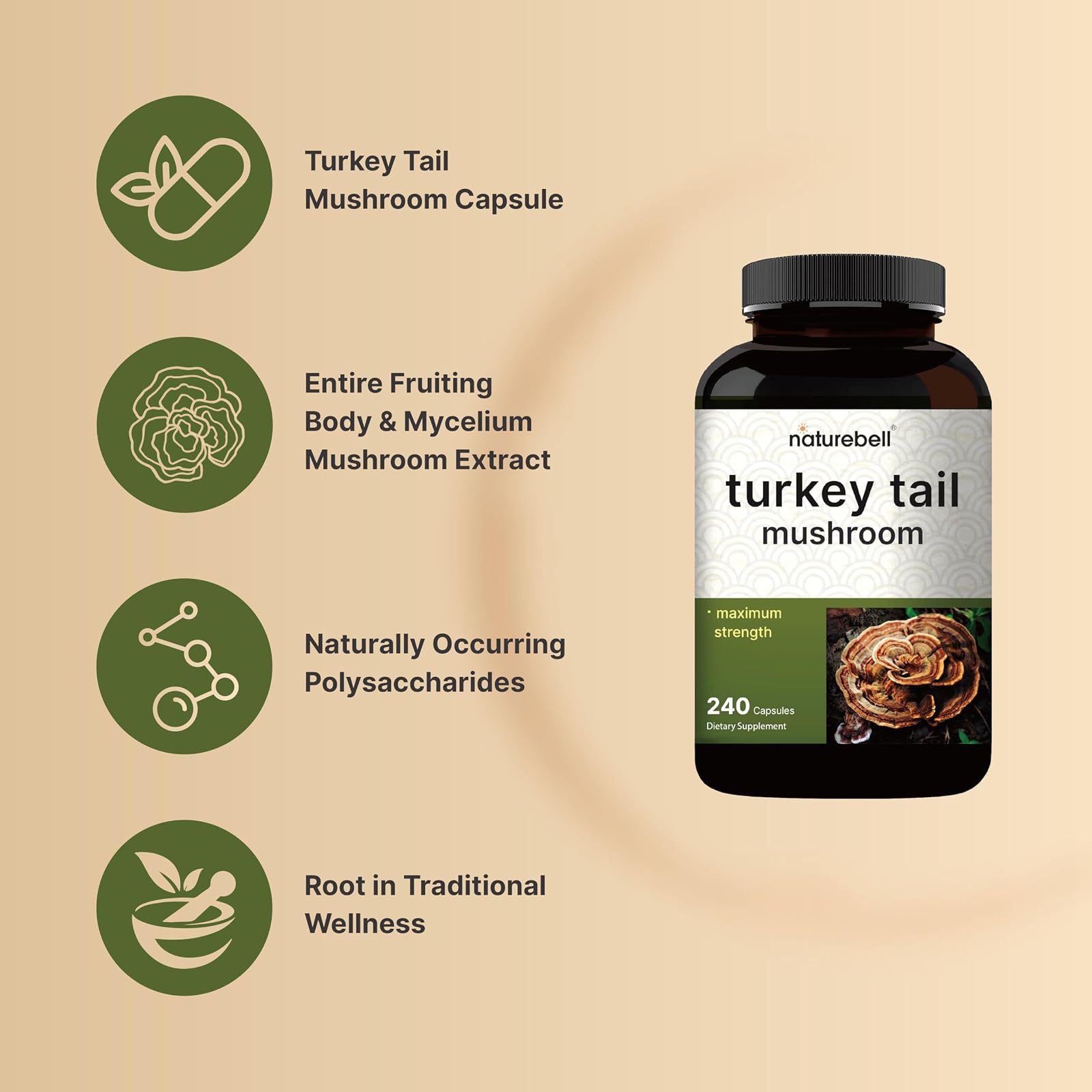turkey tail mushroom immune support