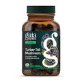 turkey tail mushroom immune support