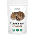 turkey tail mushroom powder benefits