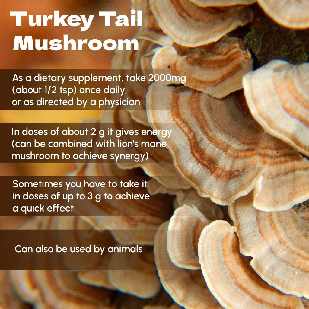 turkey tail mushroom powder for digestion