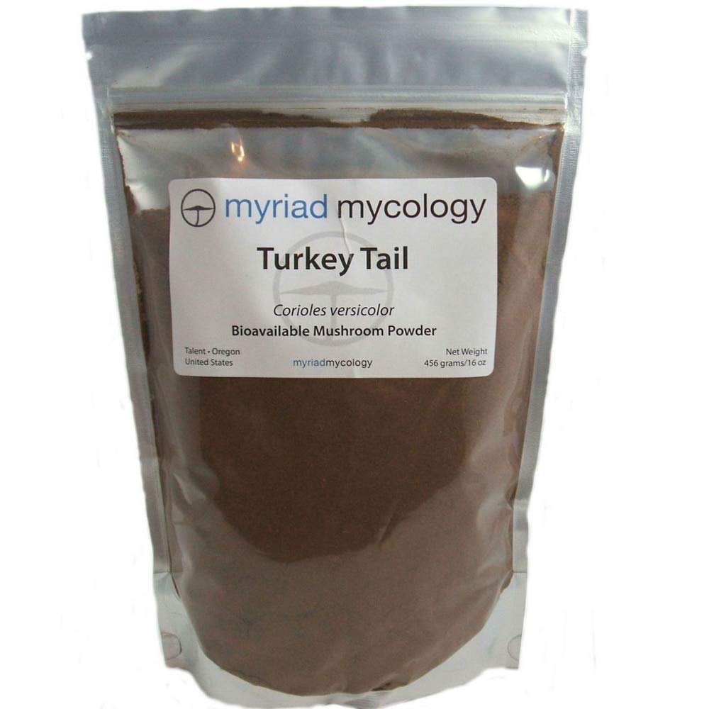 Turkey Tail mushroom powder for health