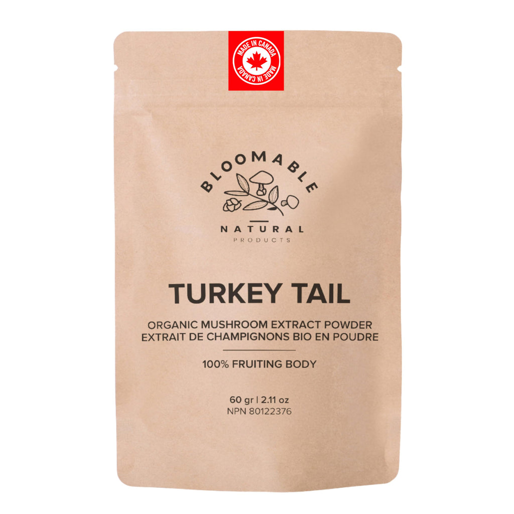 Turkey Tail mushroom powder for immunity