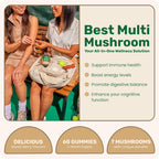 Turkey tail mushroom supplement benefits