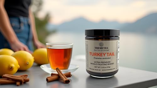 Turkey Tail mushroom tea benefits