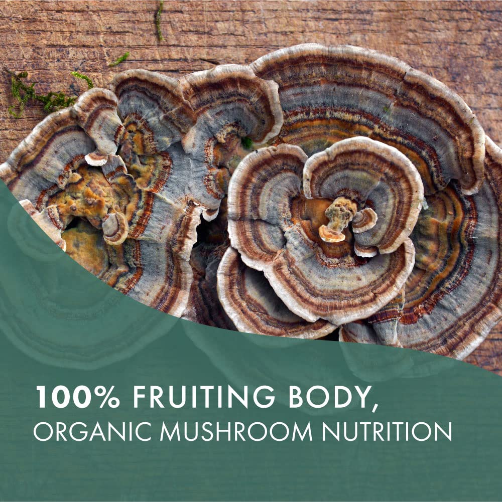 turkey tail mushrooms for better digestion