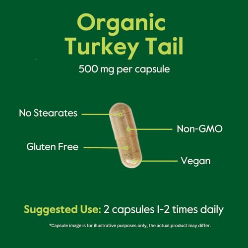 turkey tail mushrooms for digestion