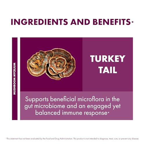 turkey tail mushrooms for digestive balance