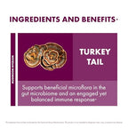 turkey tail mushrooms for digestive balance