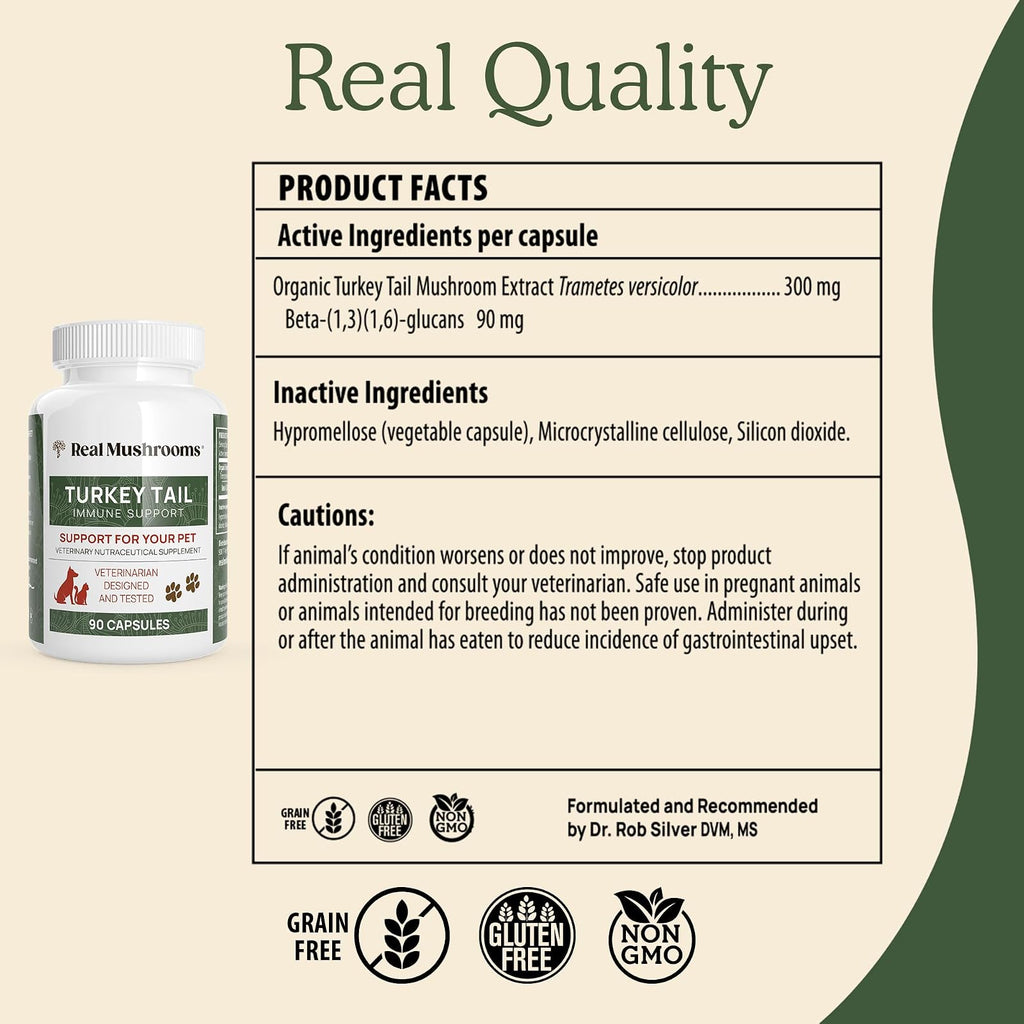 Turkey Tail mushrooms for digestive health