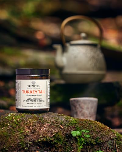 Turkey Tail mushrooms for digestive support