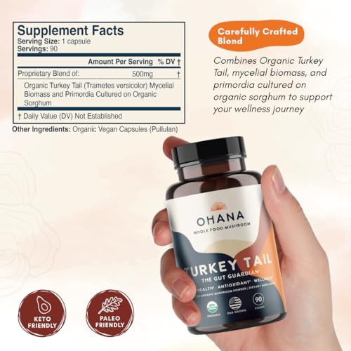 turkey tail mushrooms for energy boost