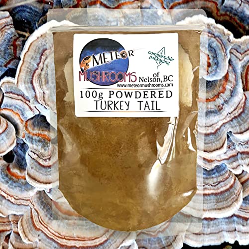 turkey tail mushrooms for energy