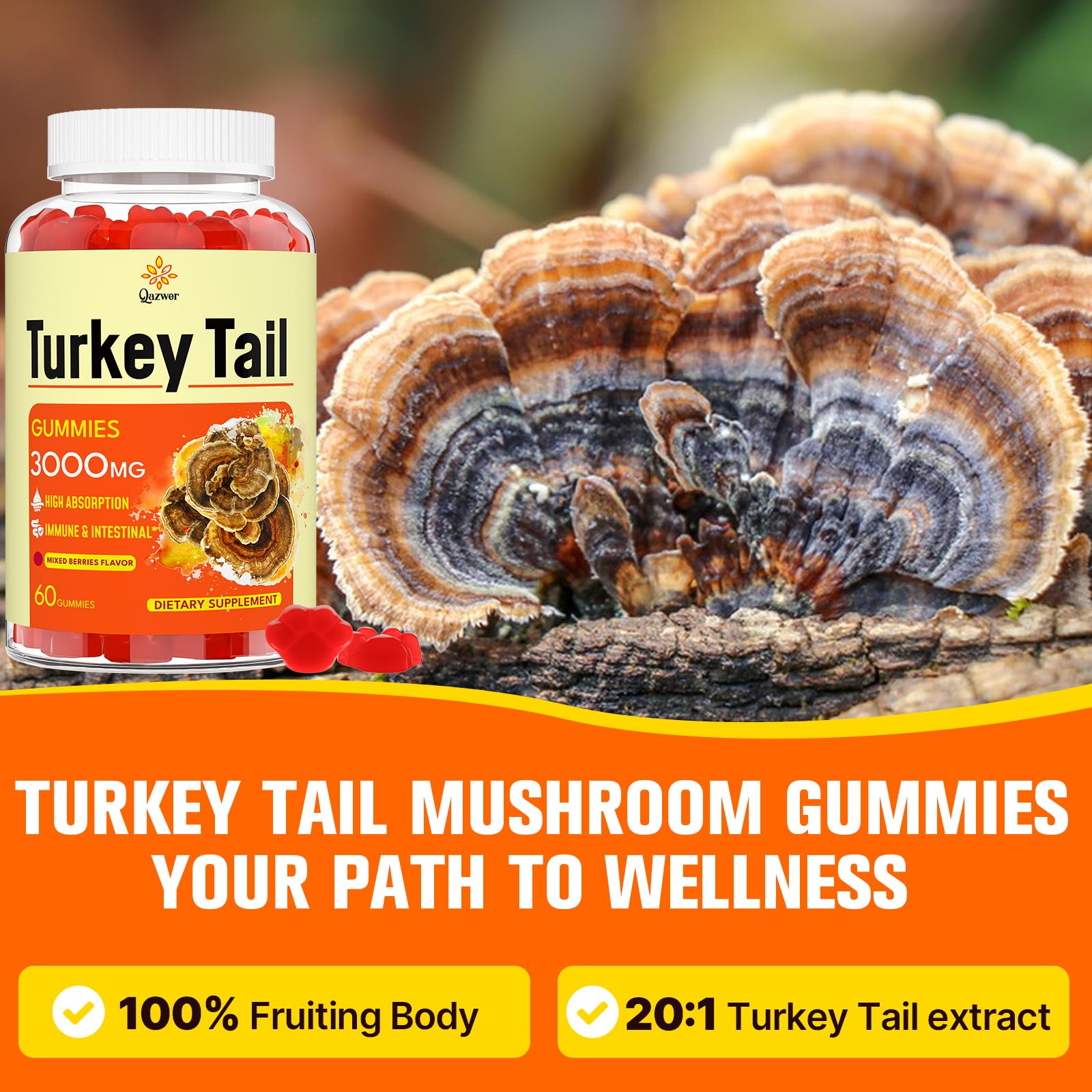 Turkey Tail mushrooms for enhanced mental clarity